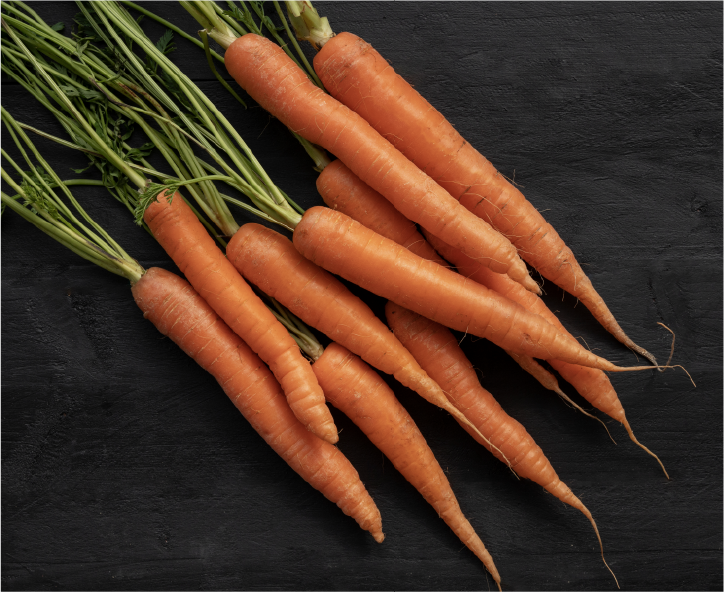 ¿CÓMO LO HACEMOS? – Prime Pet